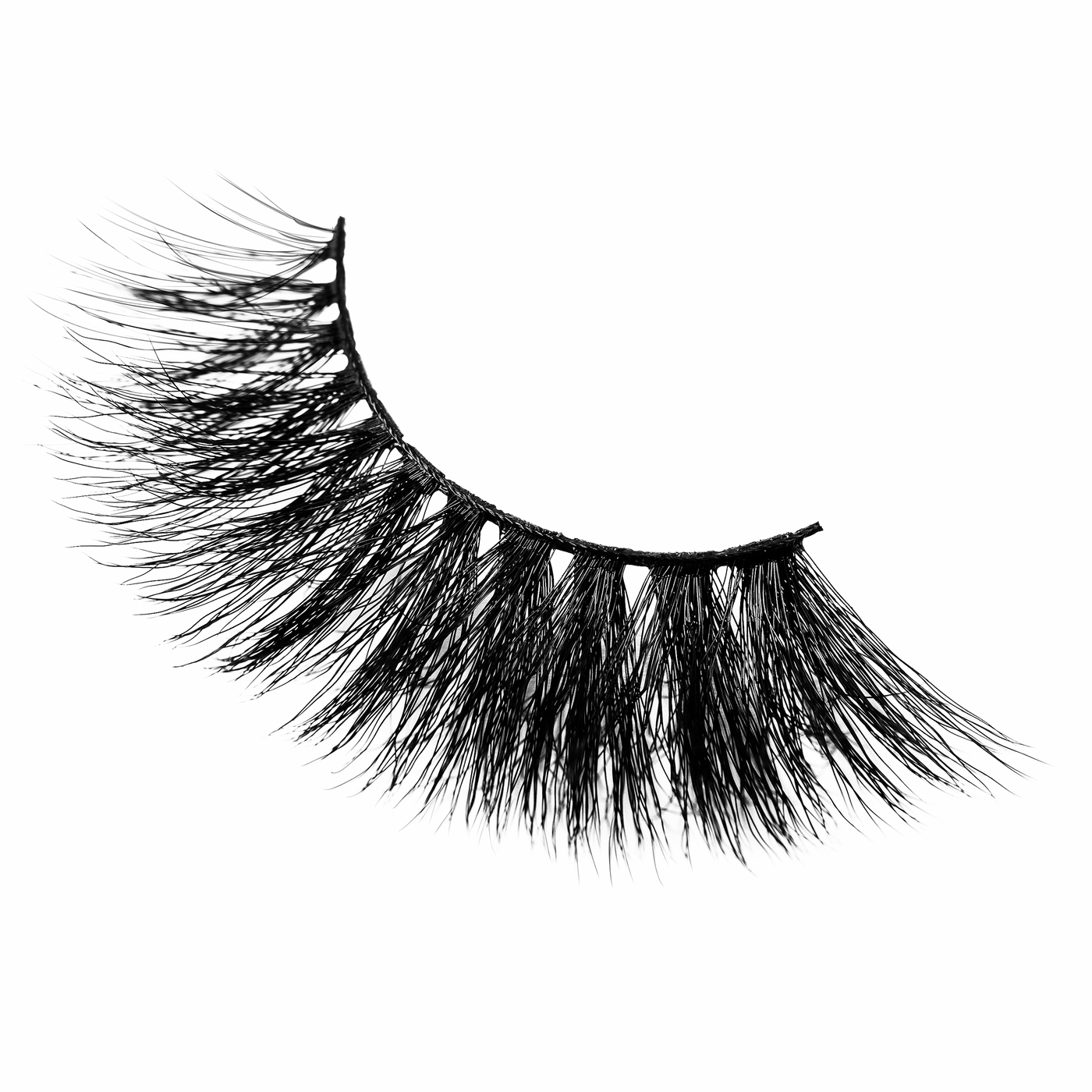 Super Bish Lash