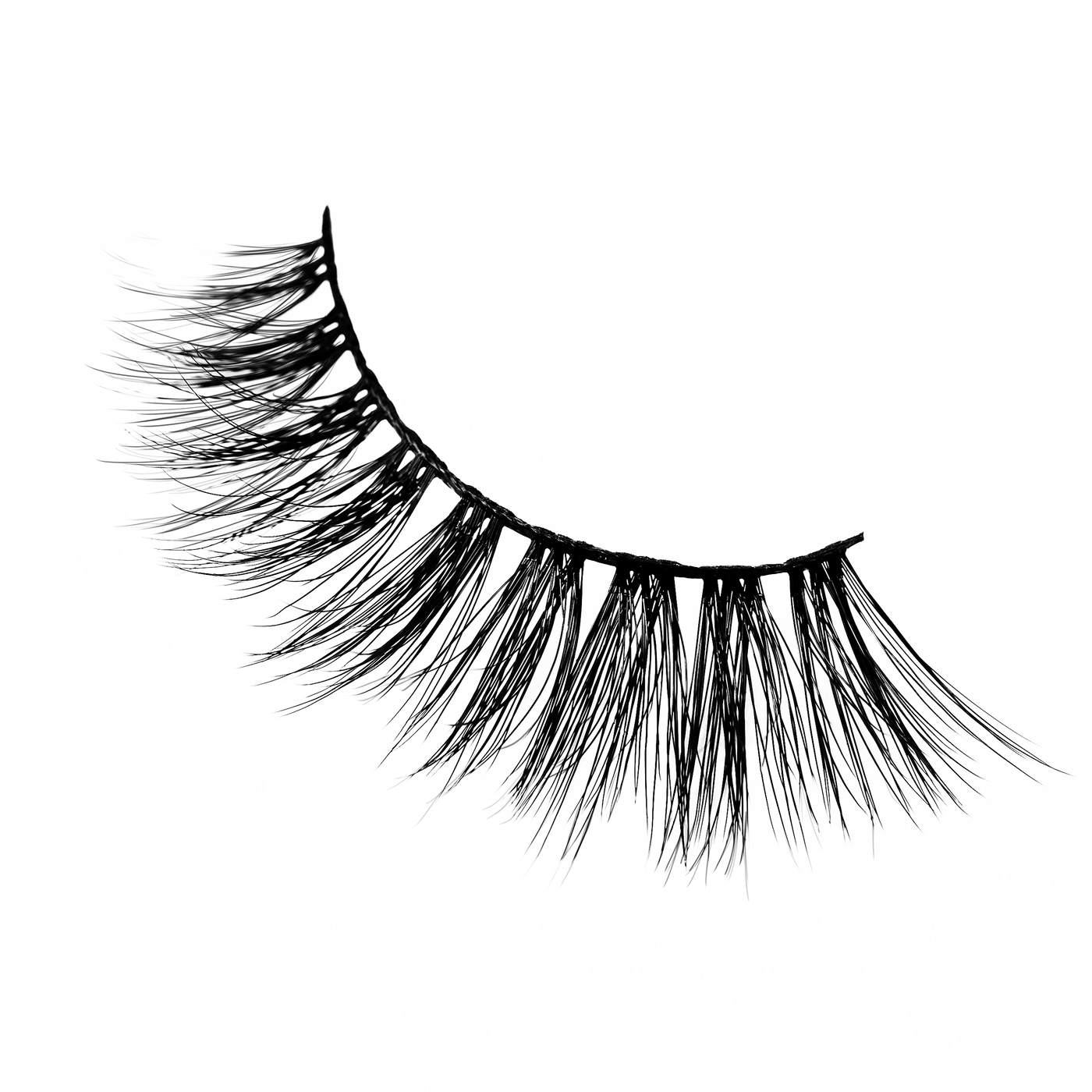 SUPER BISH LASH - 04 Who Bish